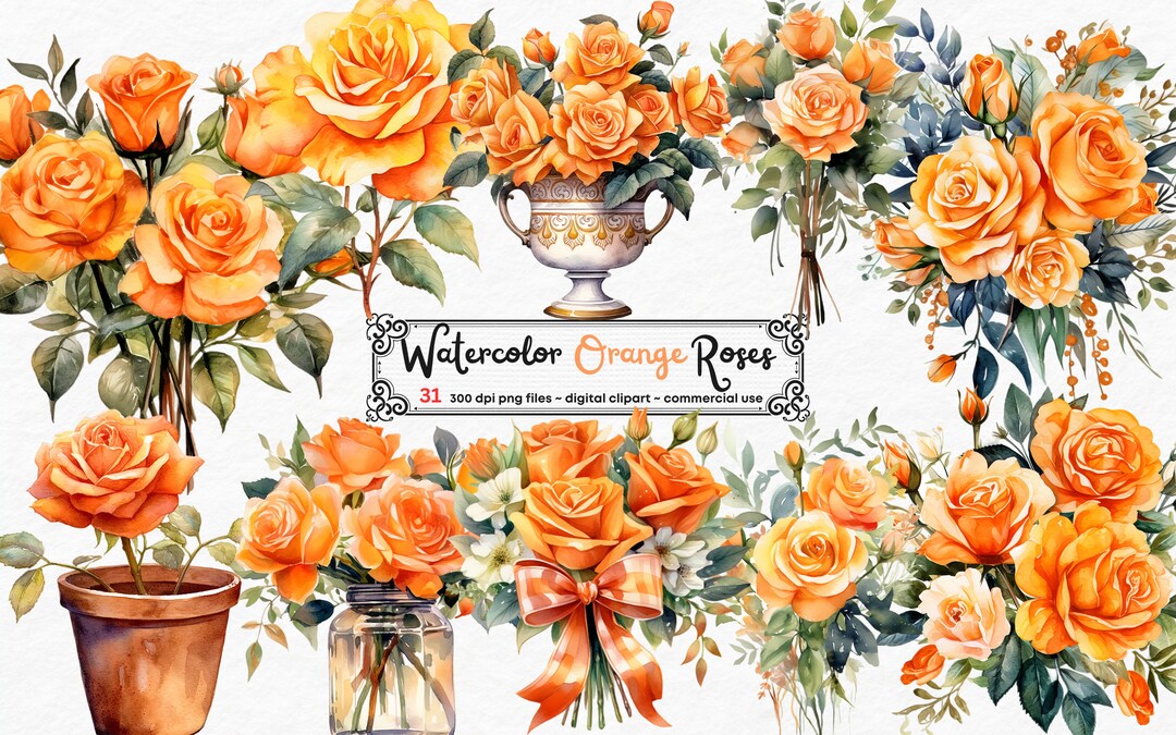 Watercolor Orange Roses Clipart - Roses in PNG Format Instant Download ...