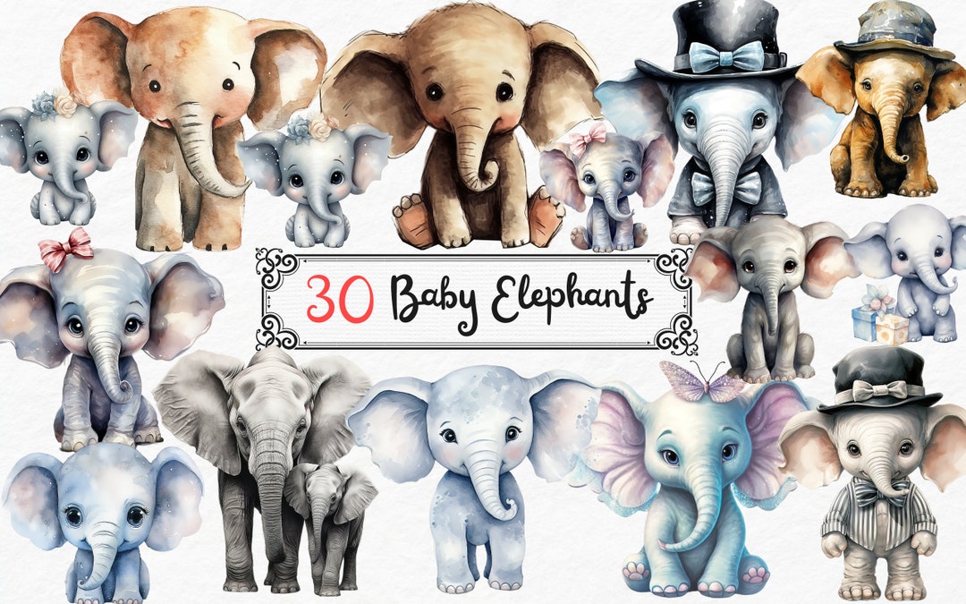 Baby Elephant Watercolor Clipart, Elephant Wall Art, Nursery Decor ...