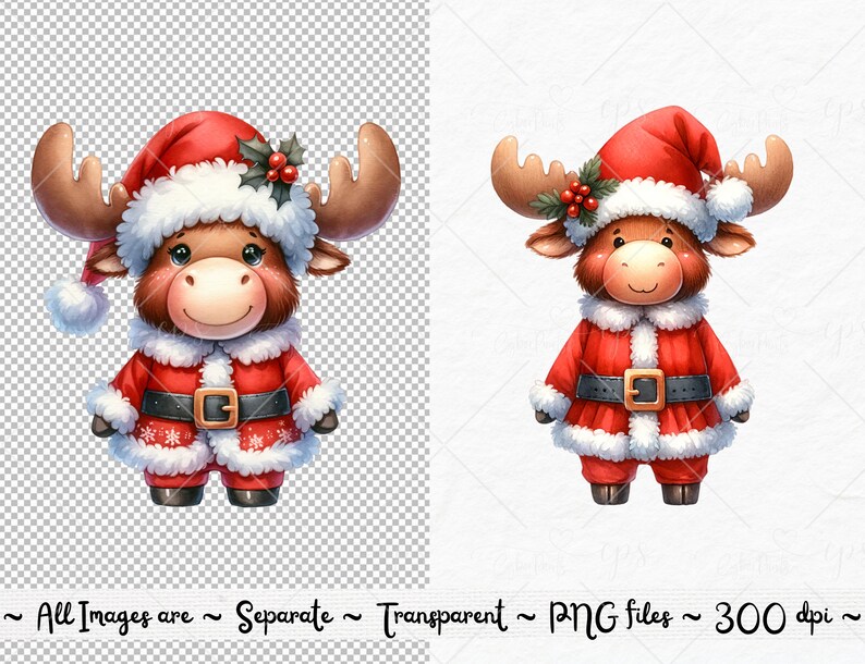 Christmas Moose PNG Clipart, Watercolor Winter Moose Holiday Bundle ...