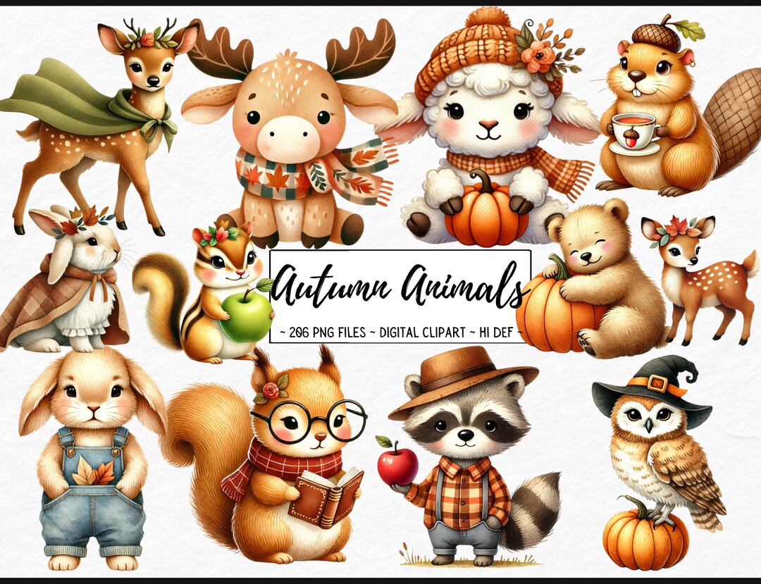 Autumn Animals, Woodland Animals, Fall Clipart, Cute Animals, Forest ...