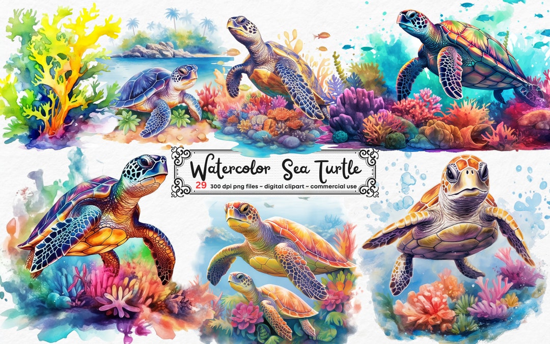Watercolor Sea Turtle Clipart, Cute Nautical Ocean Animals PNG Clip Art ...