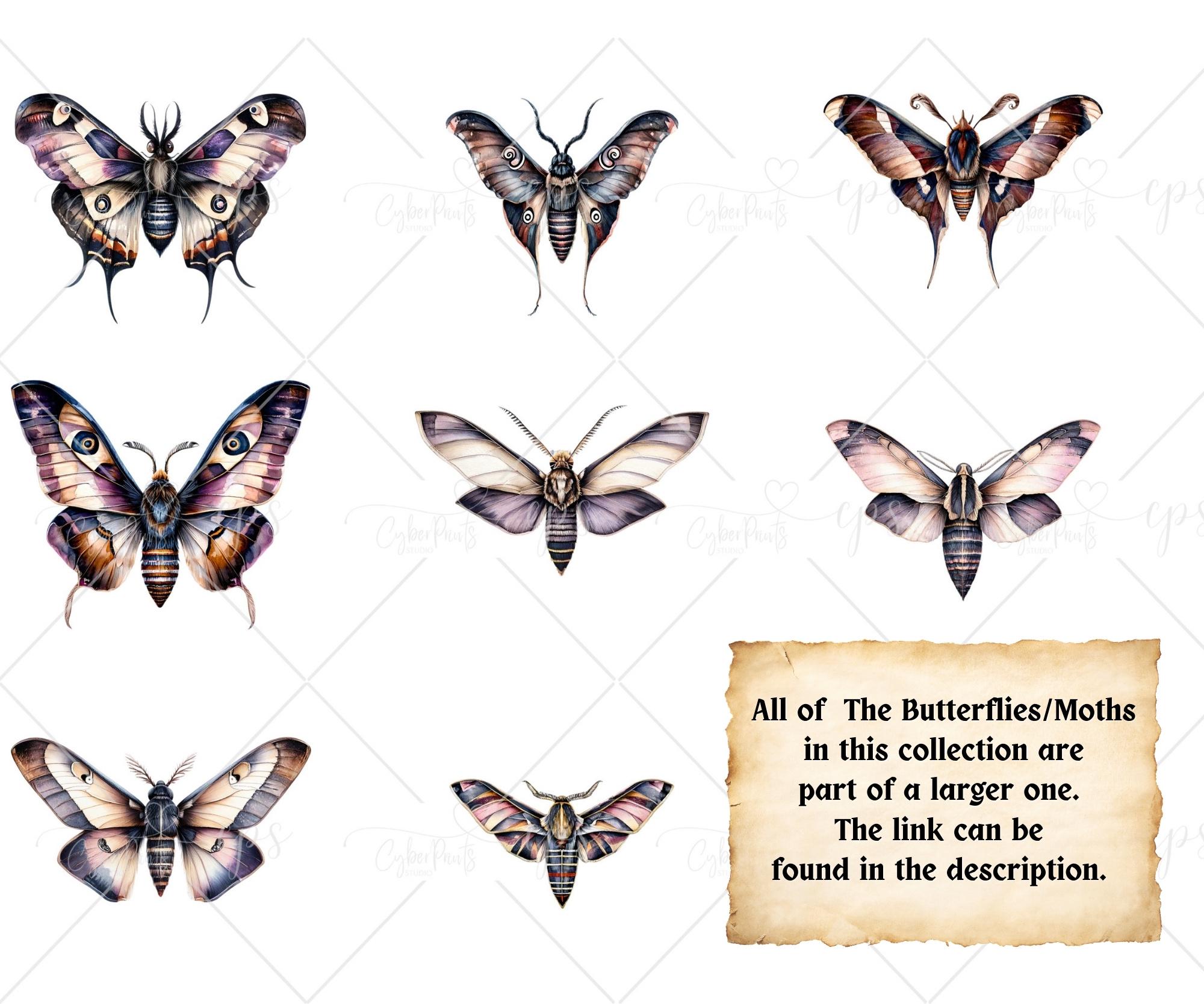 Dark Butterfly and Moth Clipart Bundle - 52 Gothic Watercolor Insects ...
