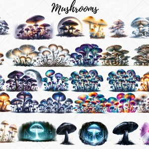 Mushrooms Watercolor Clipart Bundle - 185 PNG Forest Toadstool Graphics ...