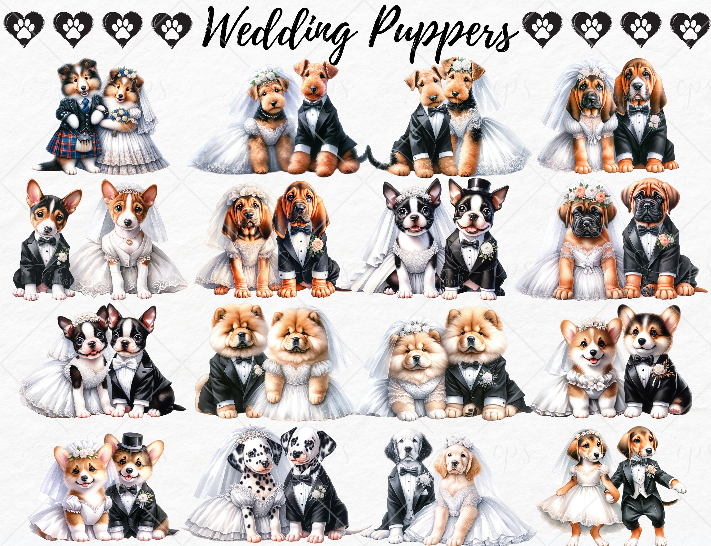 Wedding Dog Watercolor Clipart, Puppy Marriage,bride and Groom ...