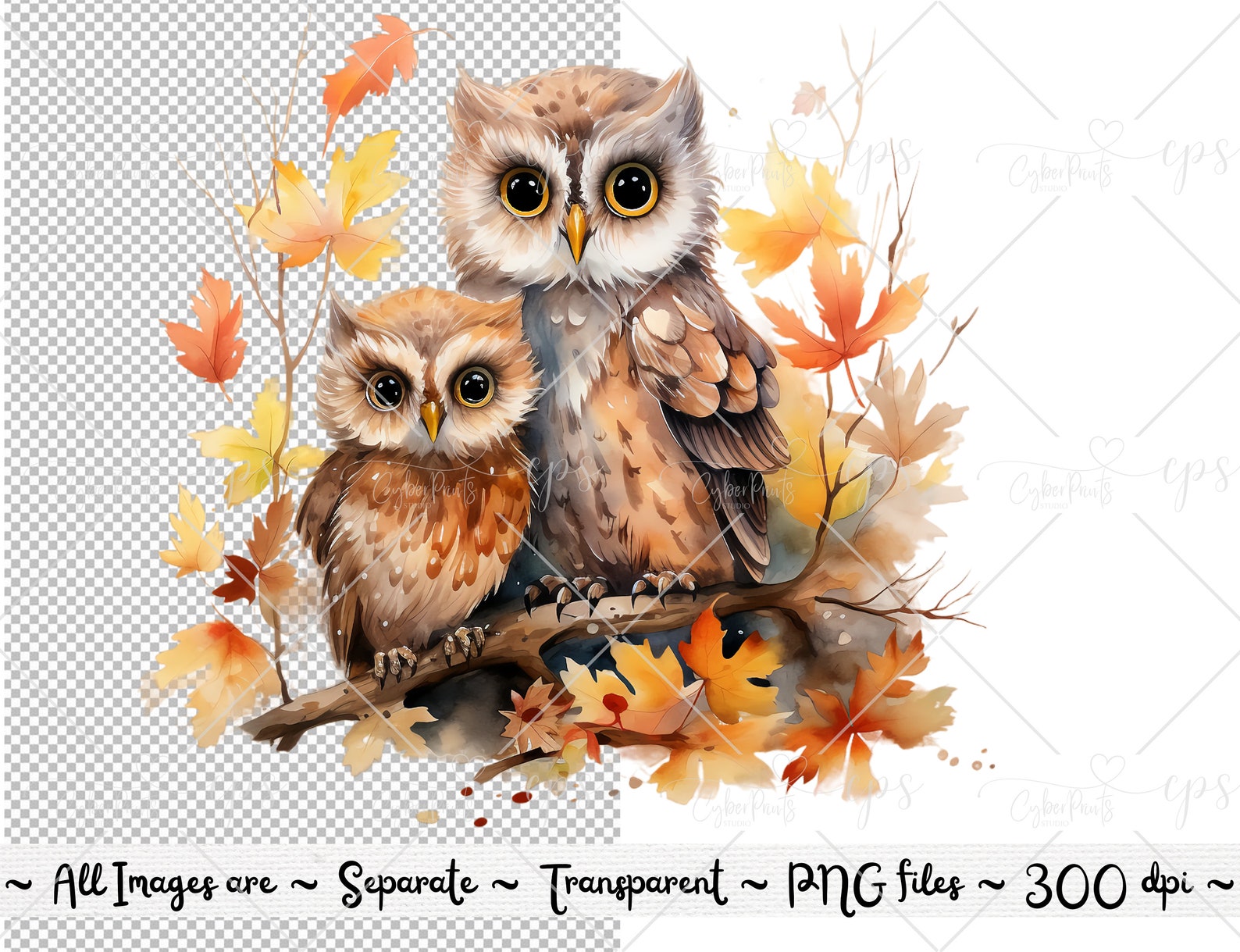 Autumn Cute Owl Watercolor Clipart Fall Animal Clipart PNG - Etsy