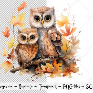 Autumn Cute Owl Watercolor Clipart, Fall Animal Clipart PNG, Kids ...