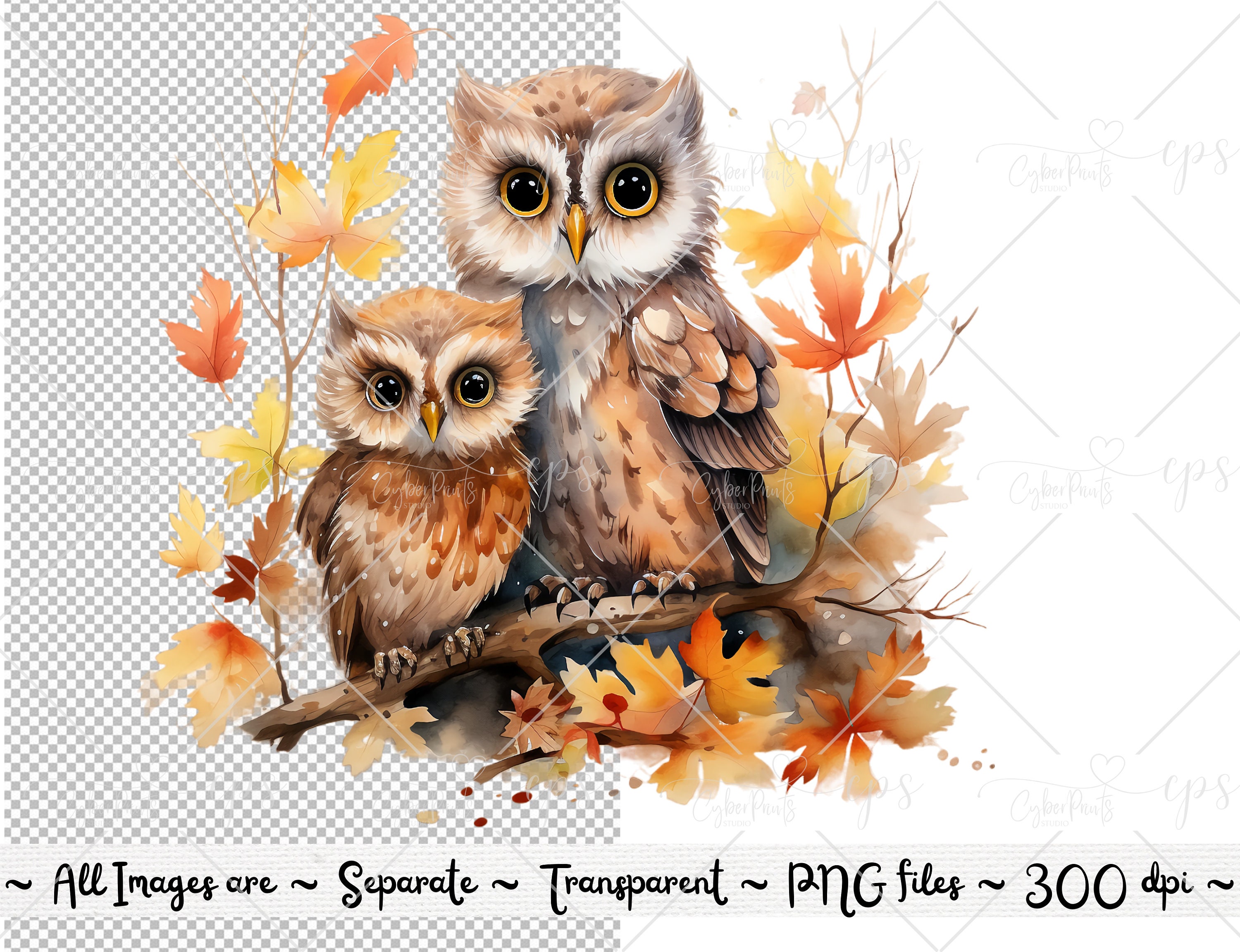 Autumn Cute Owl Watercolor Clipart Fall Animal Clipart PNG - Etsy