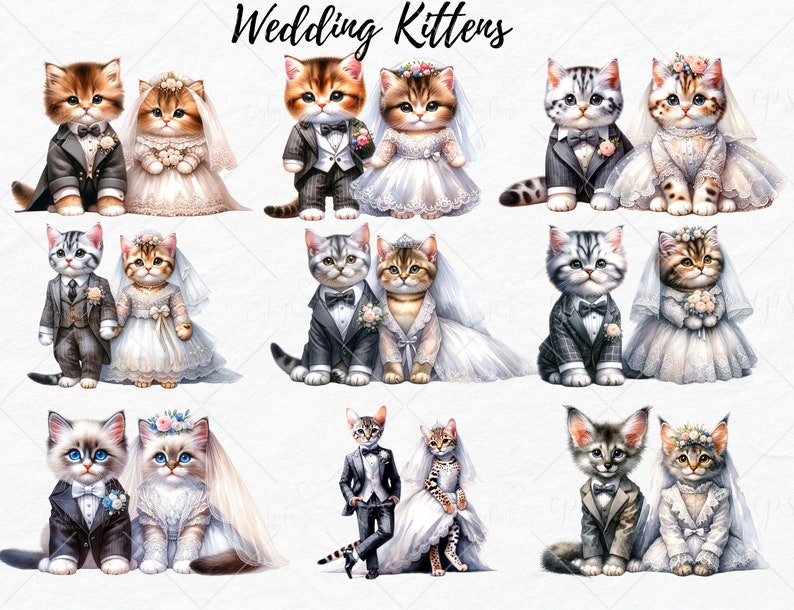 Wedding Cat Watercolor Clipart, Kitten Marriage, Bride and Groom ...