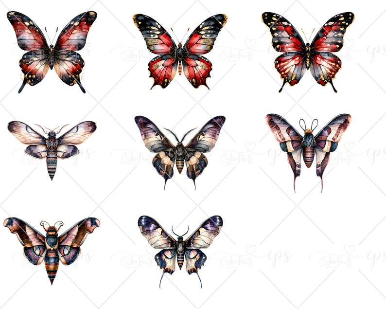 Dark Butterfly and Moth Clipart Bundle - 52 Gothic Watercolor Insects ...