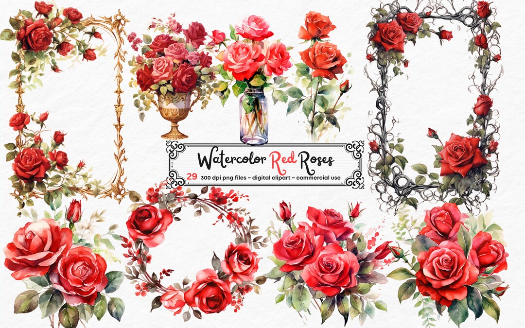 Watercolor Red Roses Clipart -roses in PNG Format Instant Download for ...