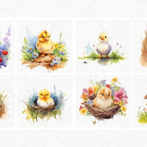 Spring Cute Watercolour Baby Chick Chicken Clipart Easter Clipart Cute ...