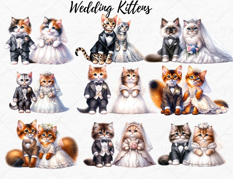 Wedding Cat Watercolor Clipart, Kitten Marriage, Bride and Groom ...