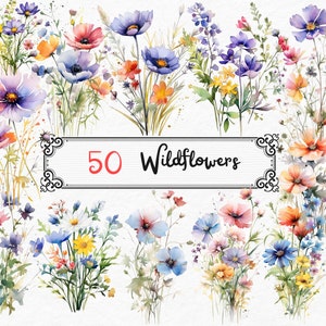 Watercolor Wildflower Clipart - Wildflowers in PNG Format Instant ...