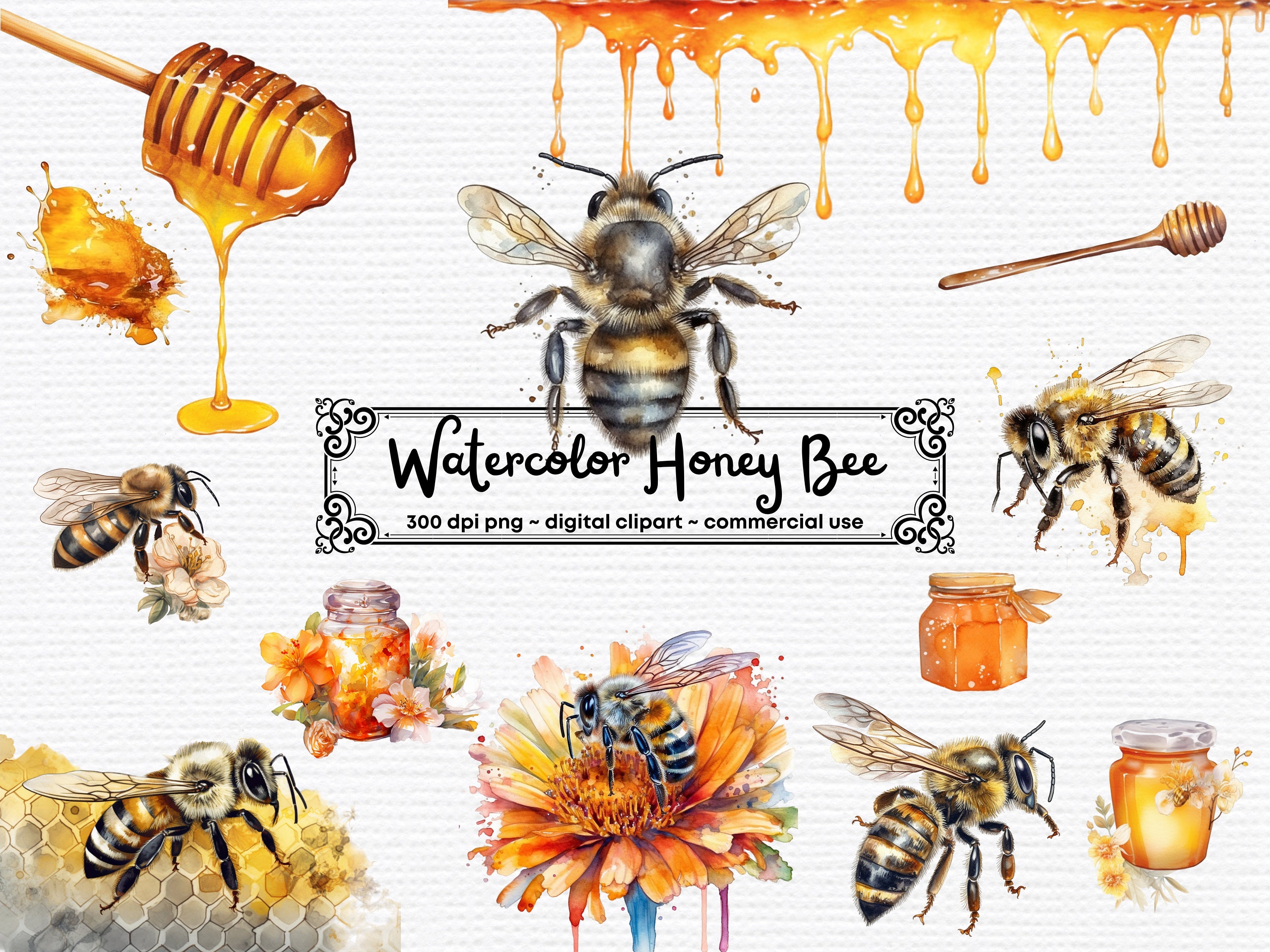 Watercolor Honey Bee Clipart, Garden Bee Clipart, for Commercial Use ...
