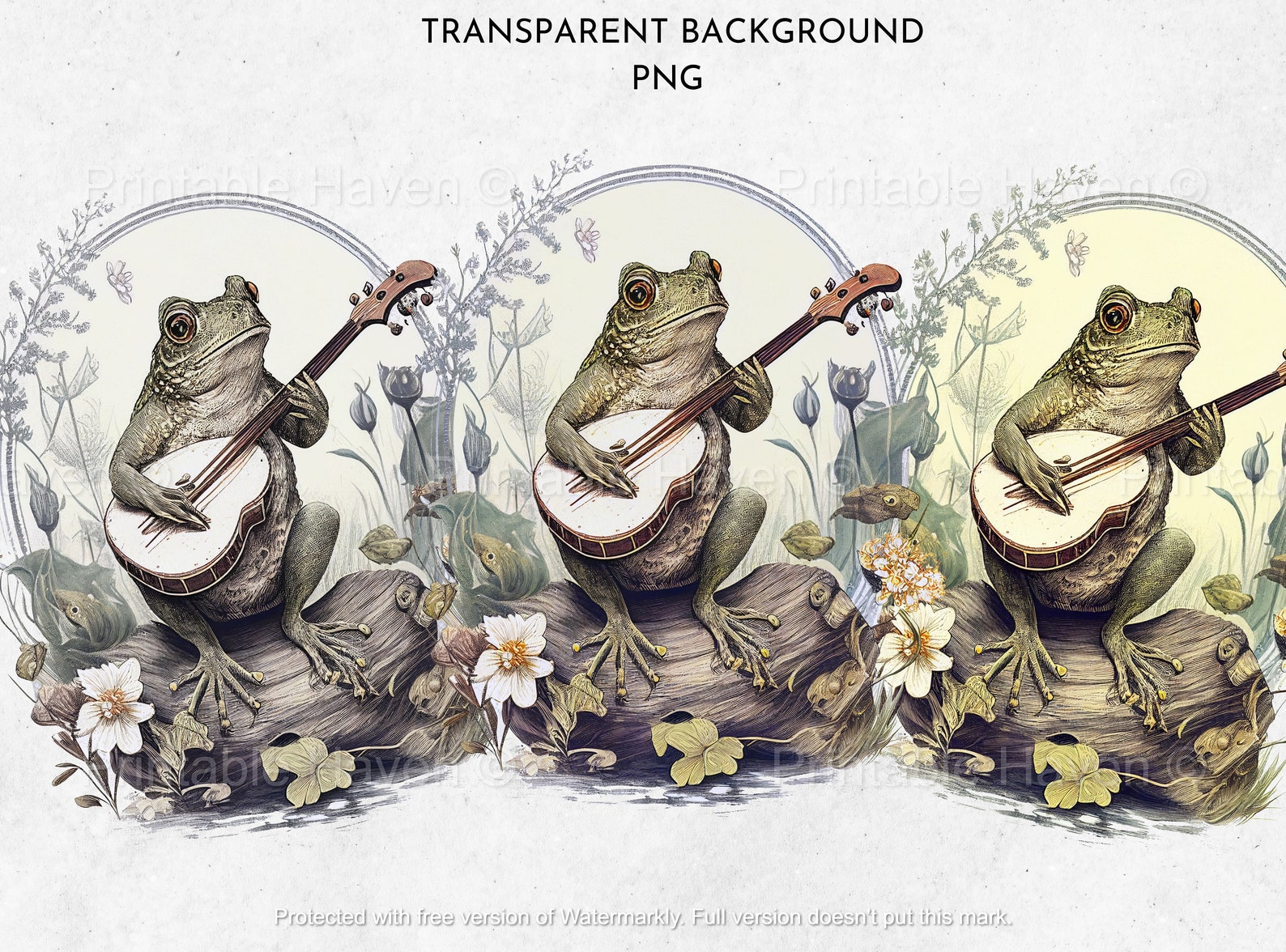Frog Png, Frog Playing Banjo Png, Cottagecore Aesthetic Frog Playing ...