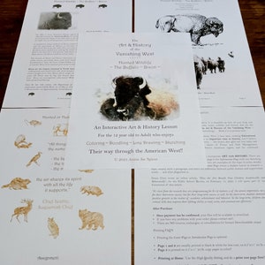 Buffalo - Bison - Hunted Wildlife - Interactive Educational Printable ...
