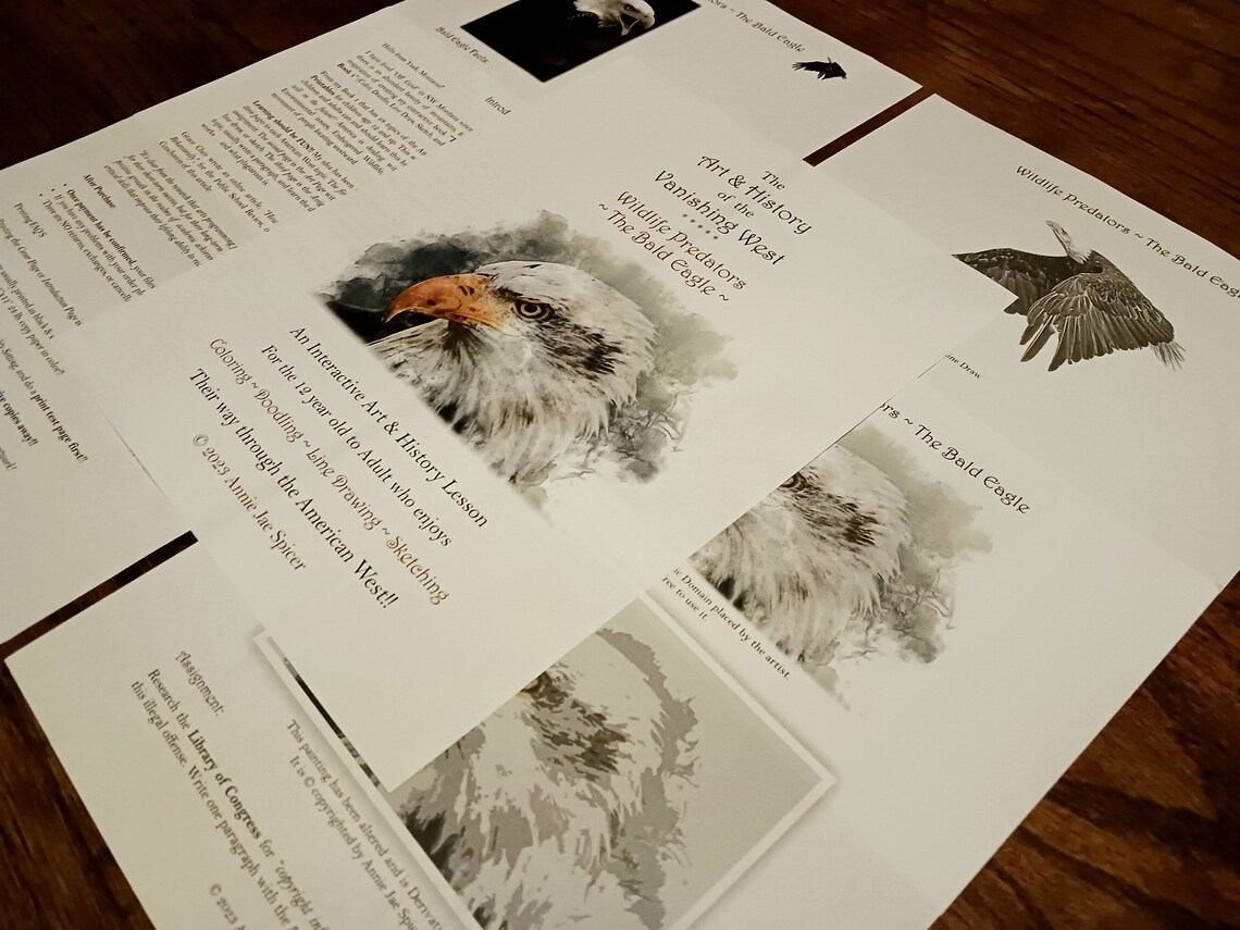 Bald Eagle - Predator - Interactive Educational Printable - the Art ...