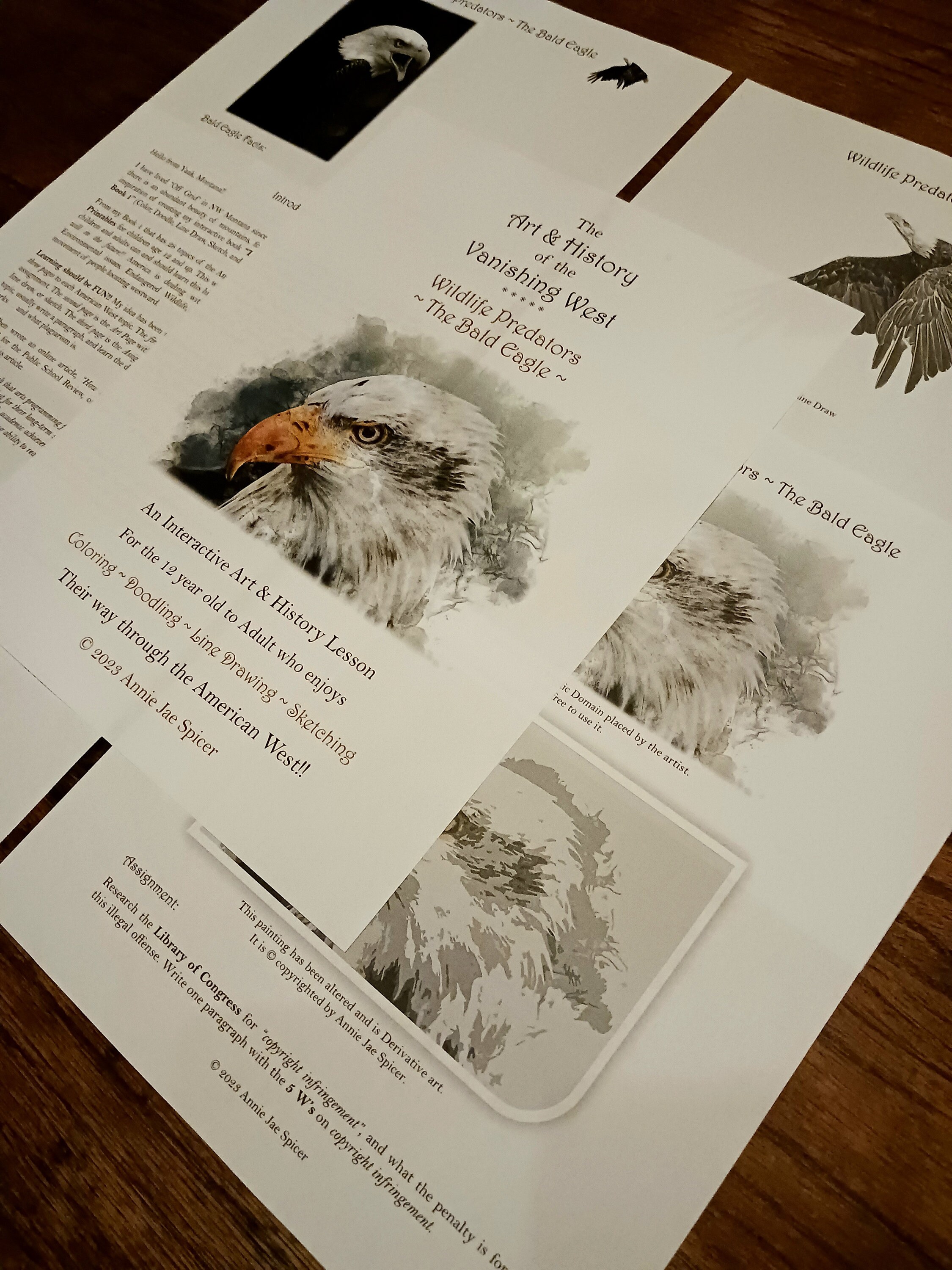 Bald Eagle - Predator - Interactive Educational Printable - the Art ...