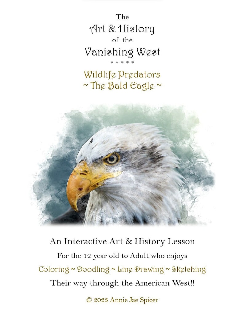 Bald Eagle - Predator - Interactive Educational Printable - the Art ...