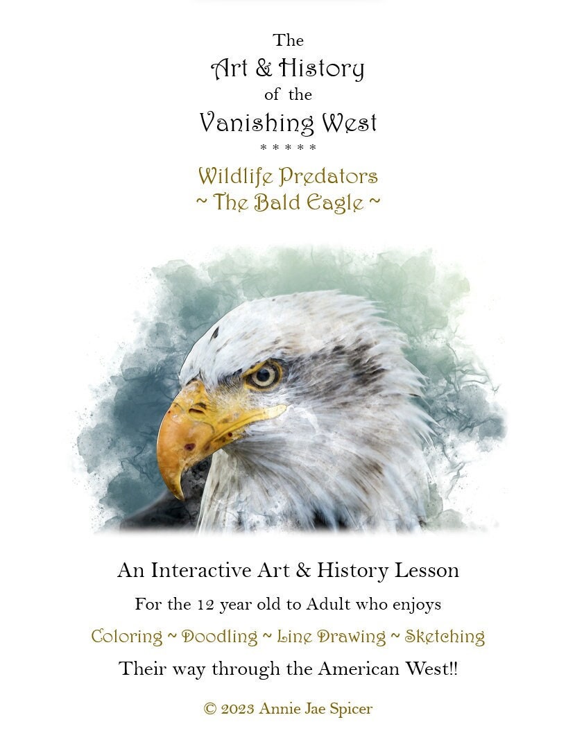 Bald Eagle - Predator - Interactive Educational Printable - the Art ...