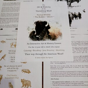 Buffalo - Bison - Hunted Wildlife - Interactive Educational Printable ...