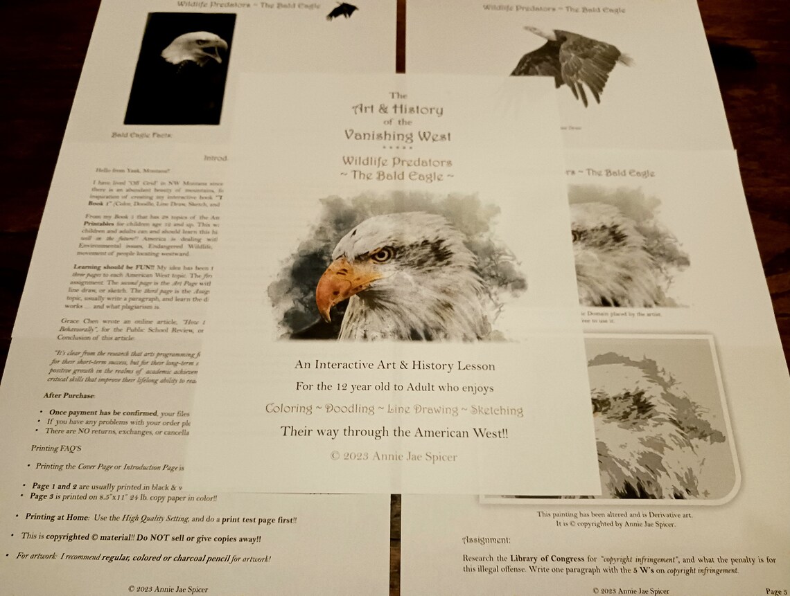 Bald Eagle - Predator - Interactive Educational Printable - the Art ...