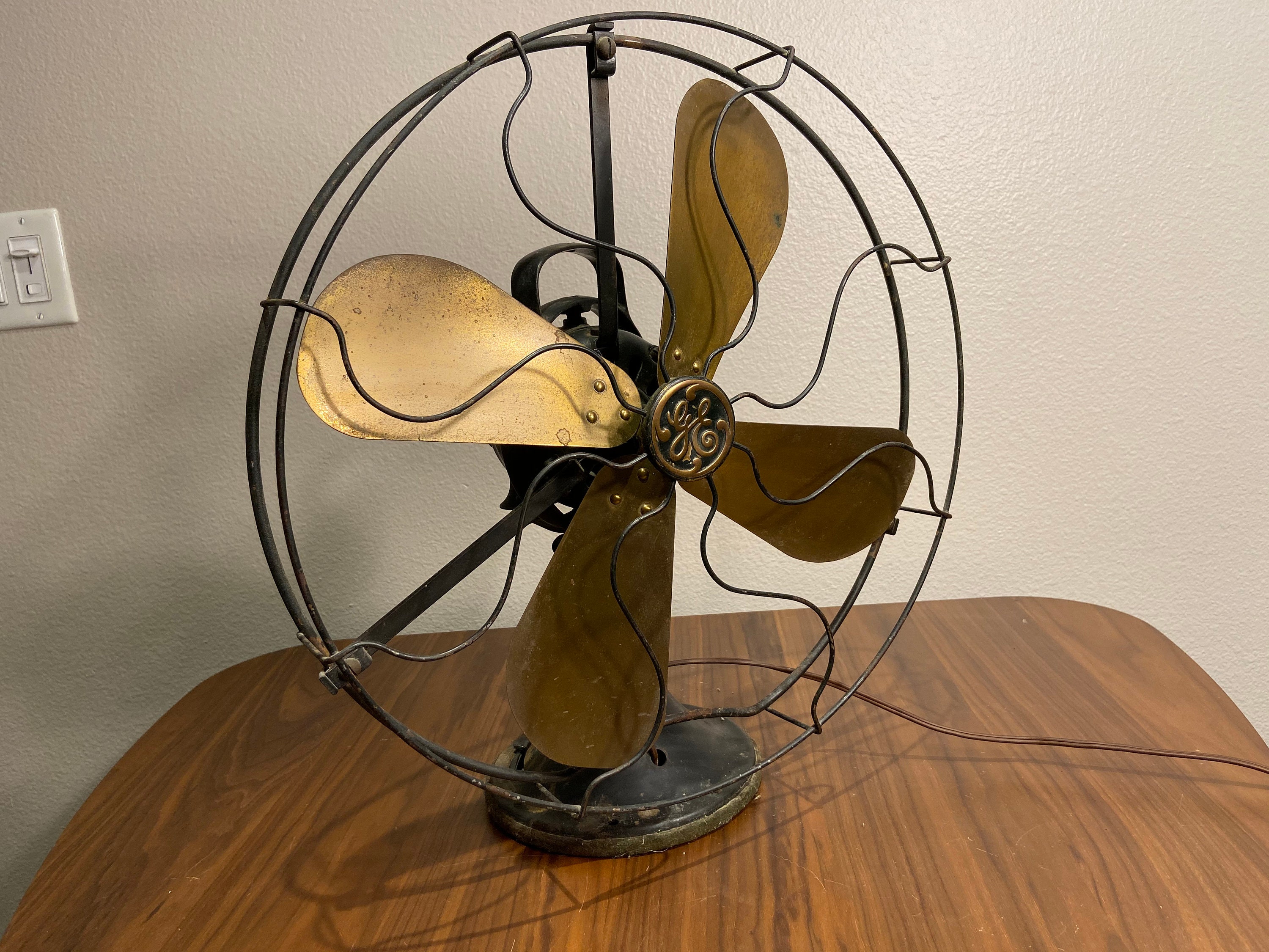 Fan 1920s
