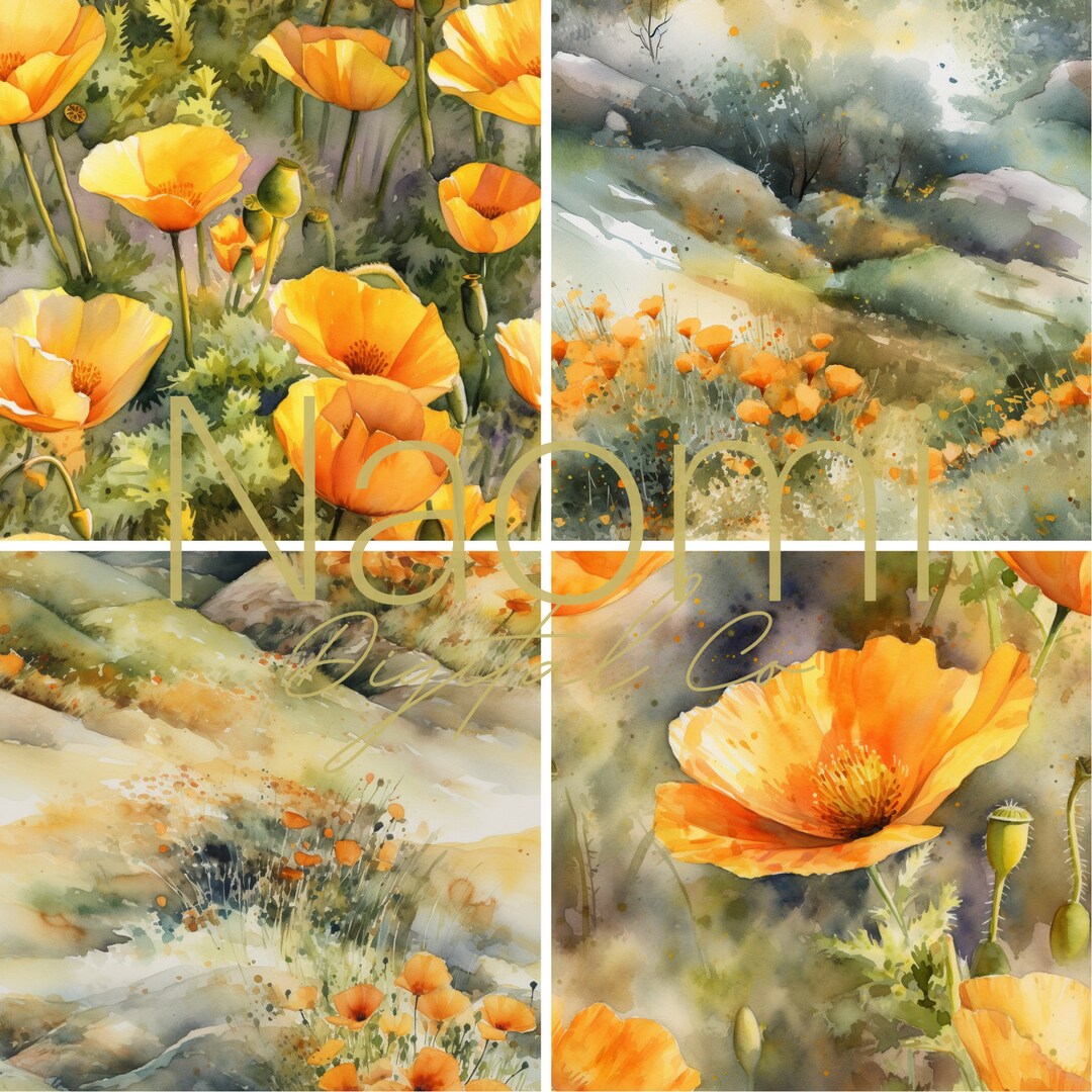California Poppy Superbloom Digital Paper 12 Designs 12in X 12in ...