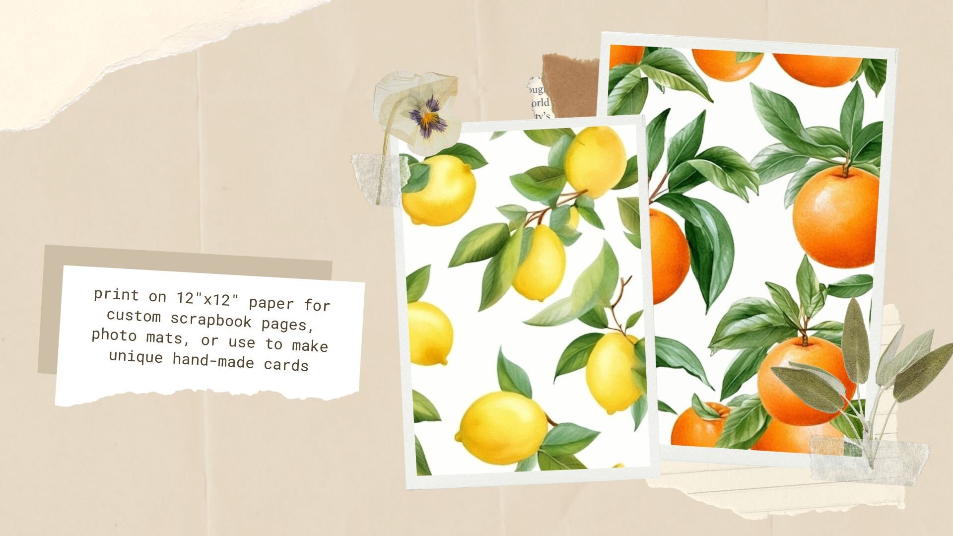 Transparent Background Summer Fruit Digital Paper 12 Designs 12 in X 12 ...