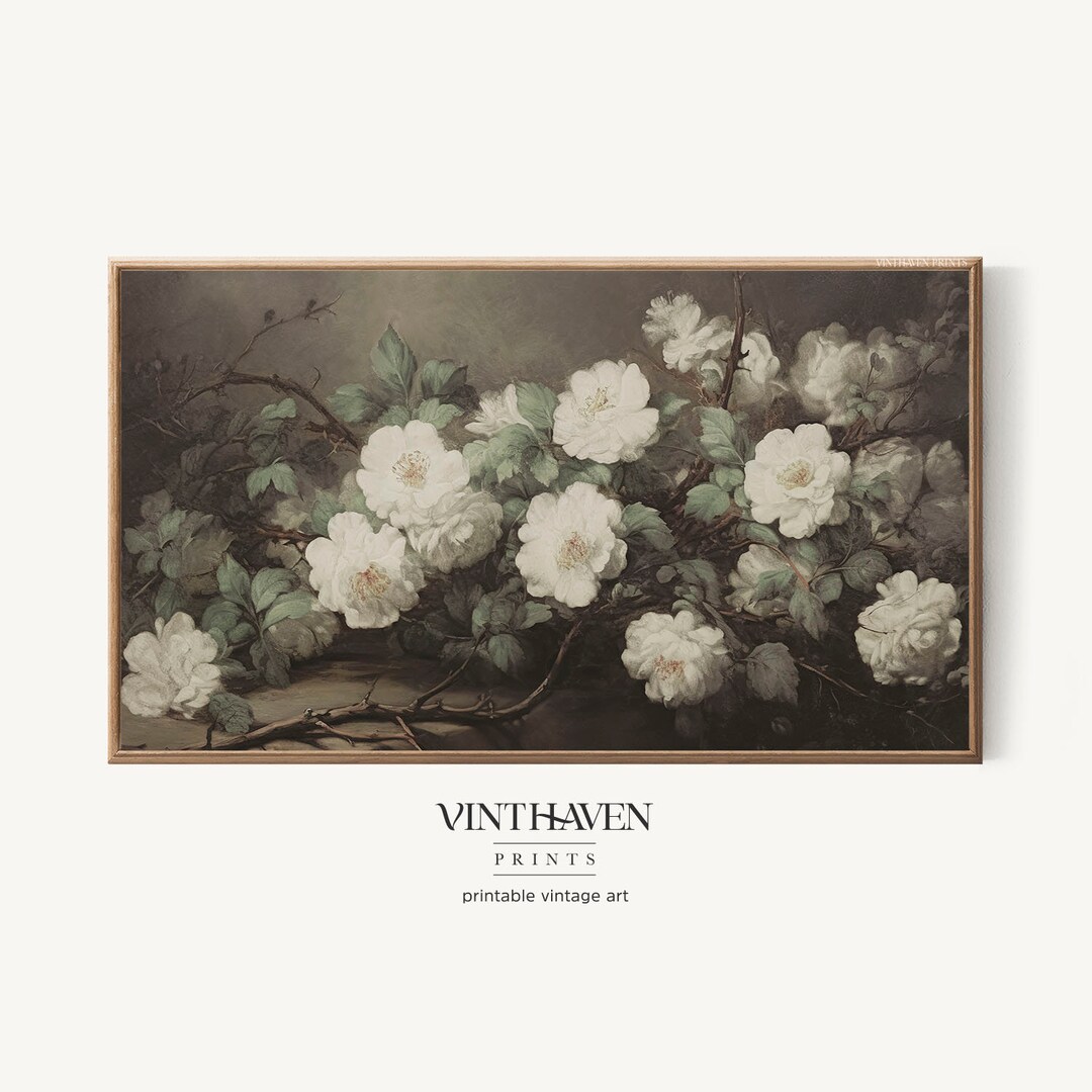 Botanical Wild White Rose Bush Still Life TV Frame Art | Oil Painting ...