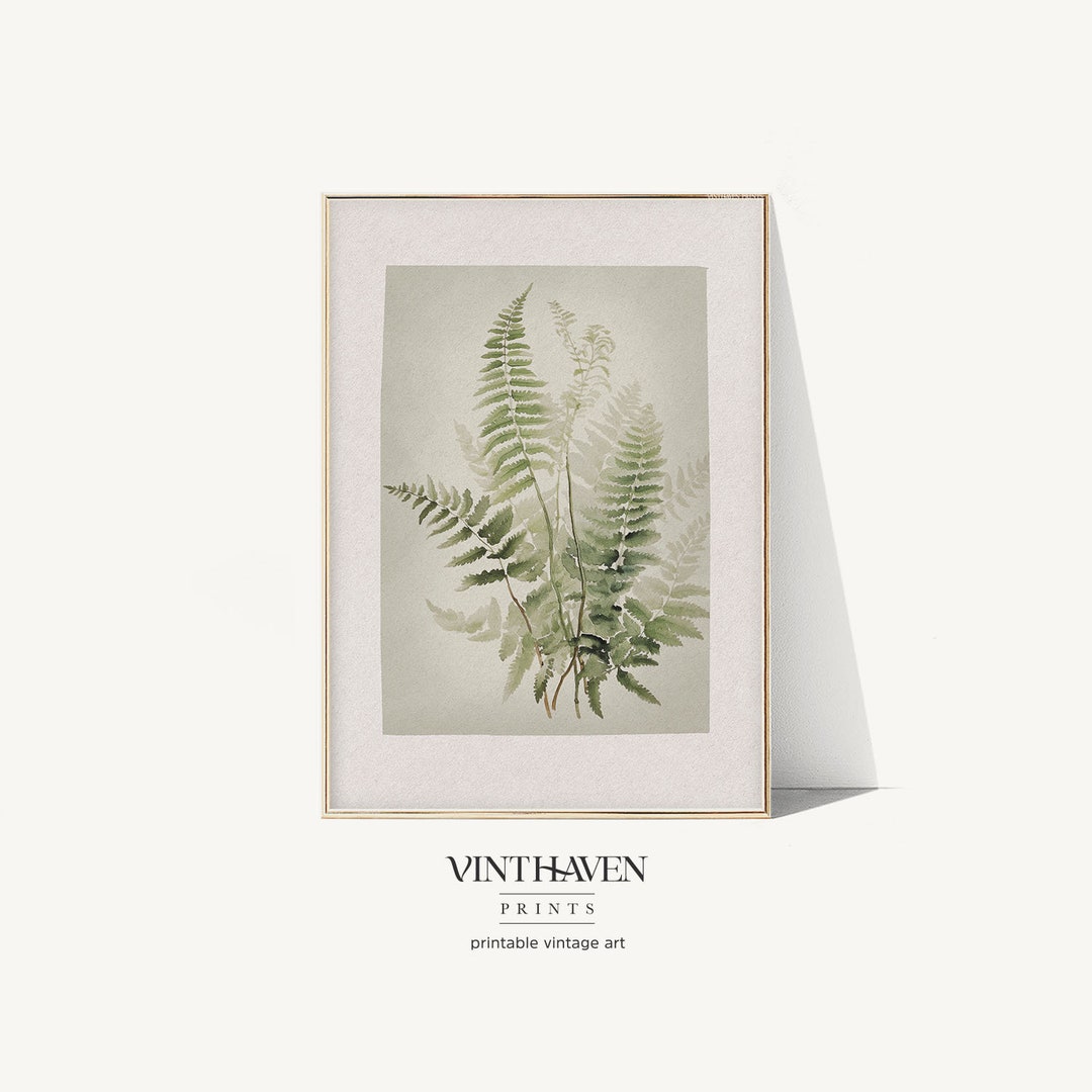 Watercolor Fern Botanical Art | Watercolor Sketch | PRINTABLE Art File ...