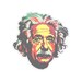 Albert Einstein, EMC2, Brainiac, Smartest Man Ever, Classic, Math Whiz ...