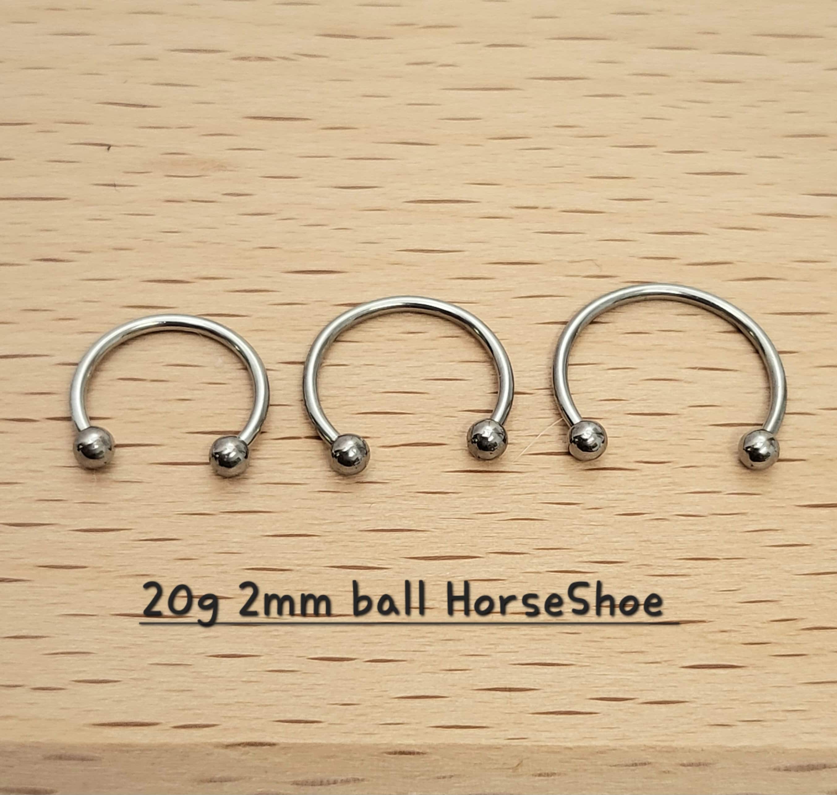 Septum Horseshoe 20g Etsy