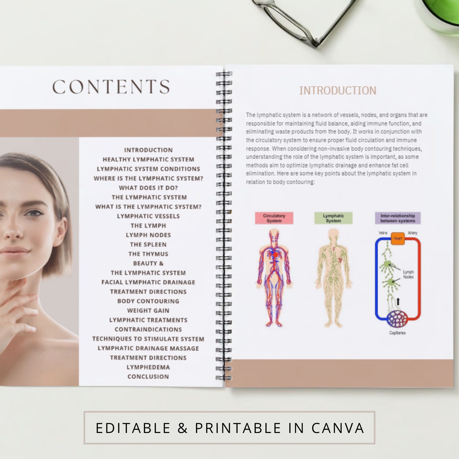 Lymphatic System Training Manual Canva Editable Course Ebook Tutorial Lesson Educator Student ...