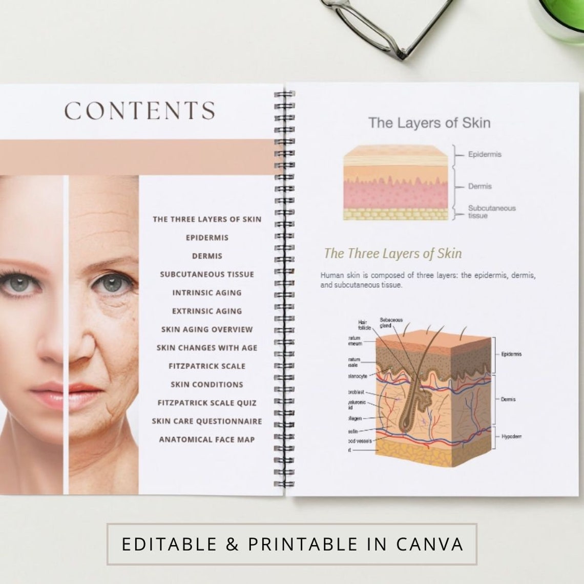 Skin Anatomy & Aging Printable Manual Template Training Manual - Etsy