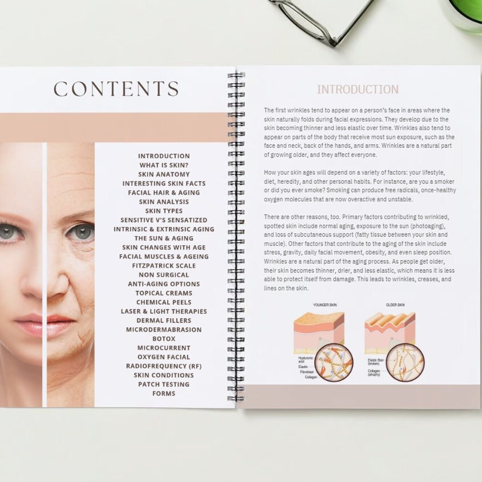Skin Anatomy & Aging Printable Manual Template Training Manual Canva ...