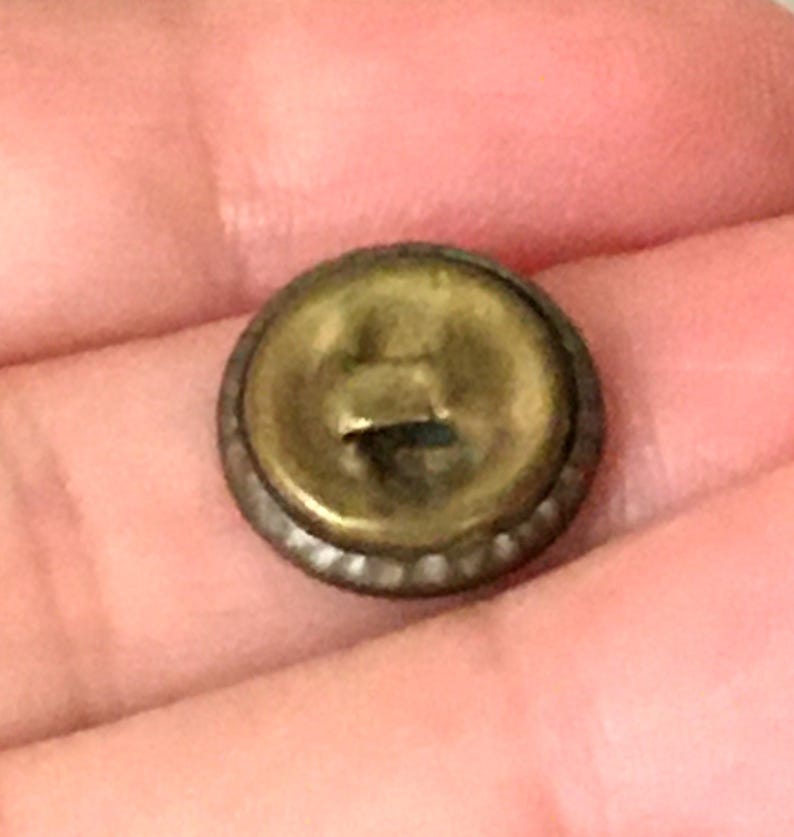 Antique Victorian Picture Button, Flower Plant, Red Background, Silver ...