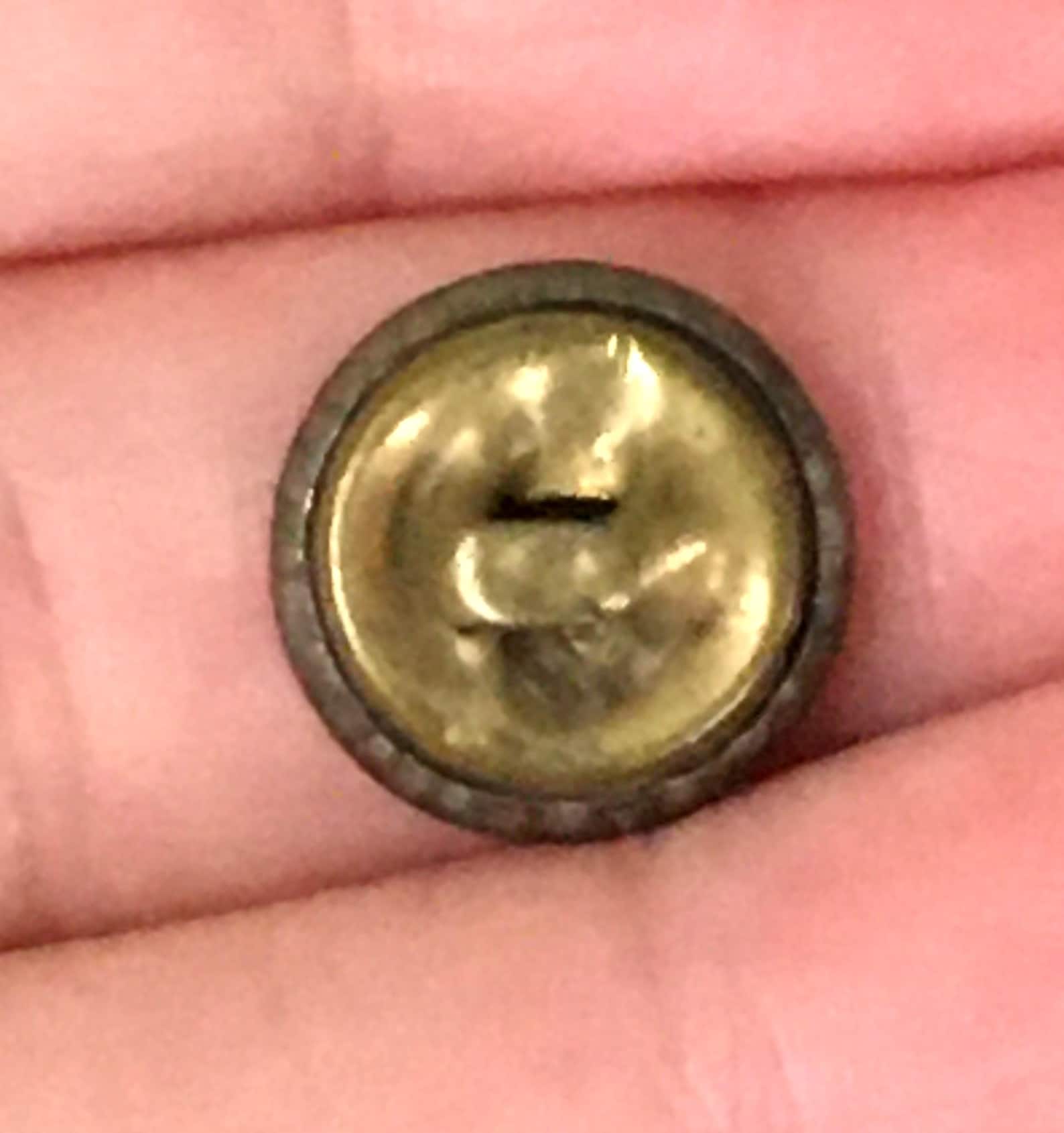 Antique Victorian Picture Button, Flower Plant, Red Background, Silver ...