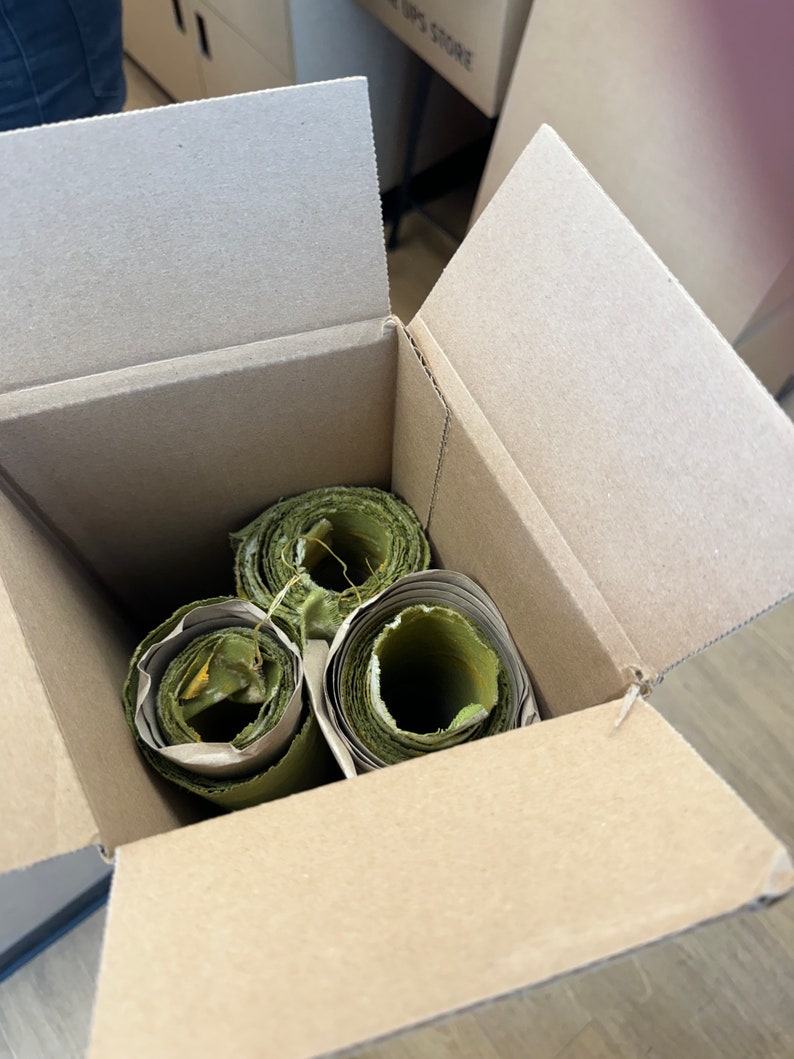 Hand Painted Photo Backdrop. 10 X 10 Muslin Fabric. Photo, Event ...