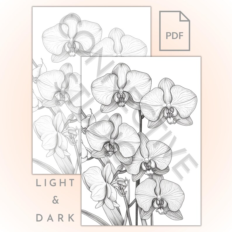 ORCHIDS Coloring Pages Six Pack of Premium Art Printable Adult ...