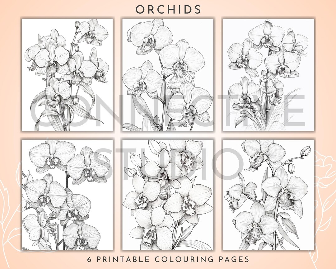 ORCHIDS Coloring Pages Six Pack of Premium Art | Printable Adult ...
