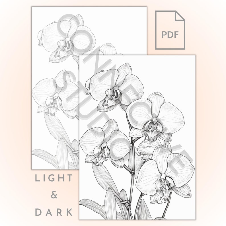 ORCHIDS Coloring Pages Six Pack of Premium Art Printable Adult ...