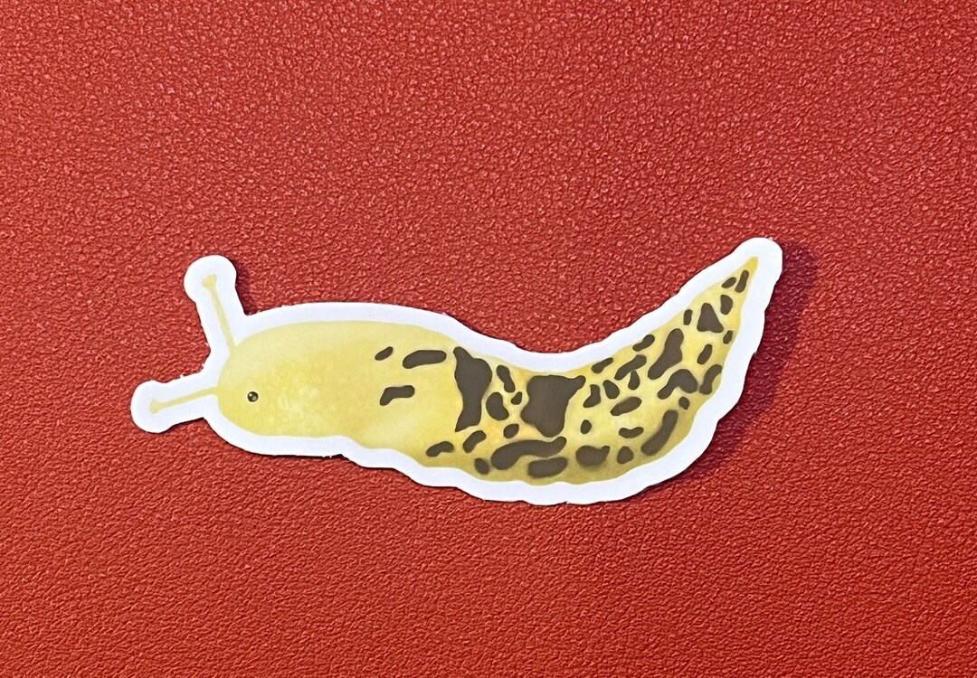 Banana Slug Sticker - Etsy