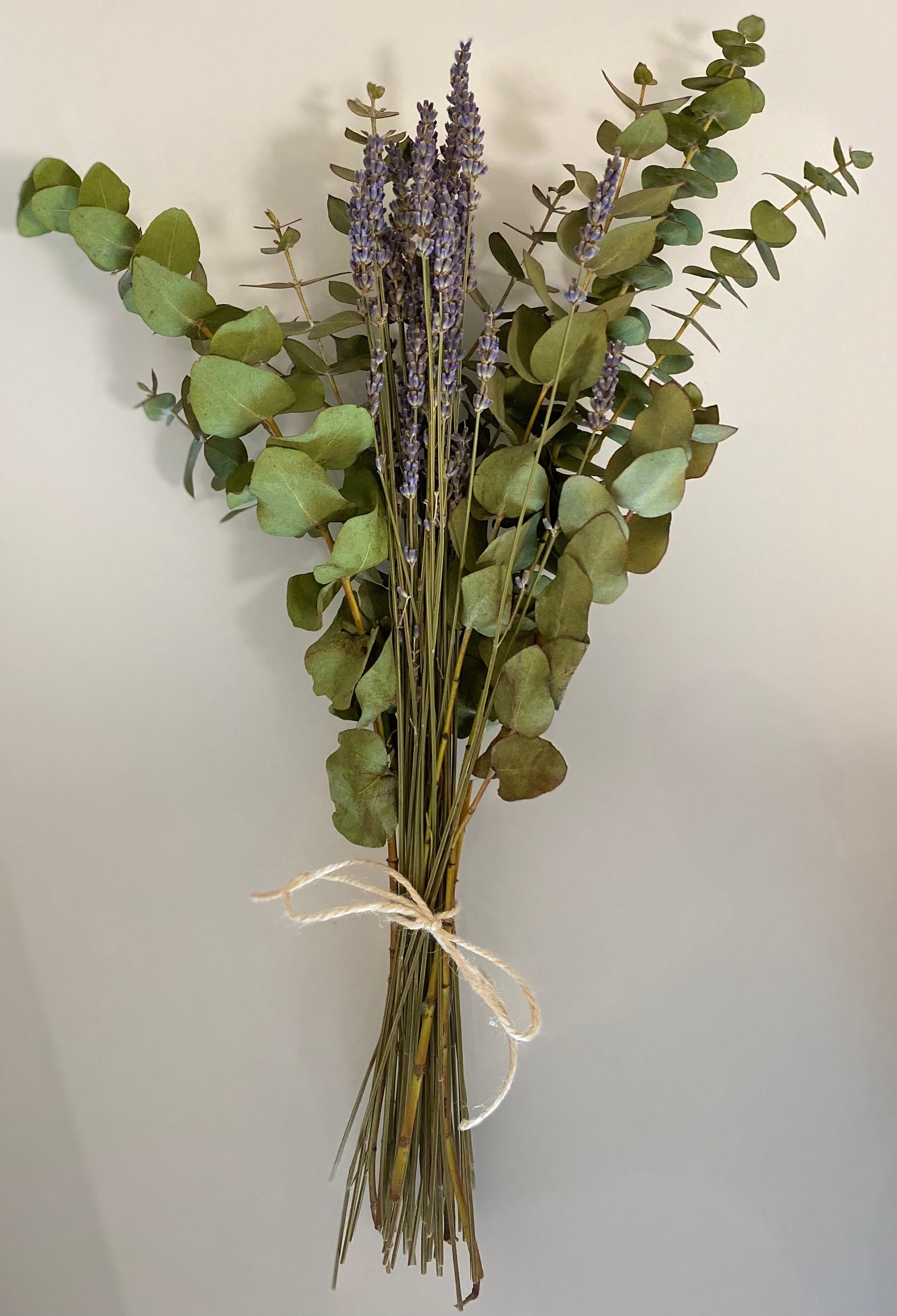 Eucalyptus Bundle - Etsy