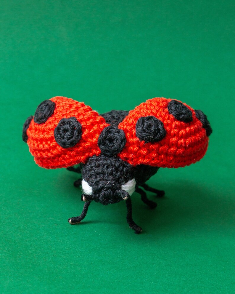 Amigurumi Crochet Pattern Ladybug, Crocheted Ladybug, Amigurumi Incect ...