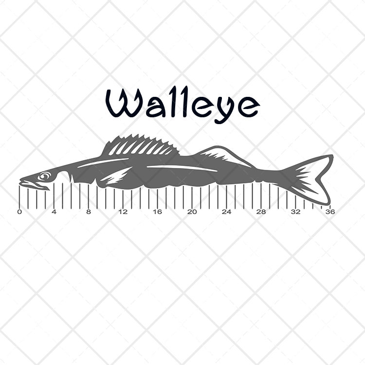 CUSTOM FISH RULERS for Your Boat, Ice Chest, Etc. Speckled Trout ...