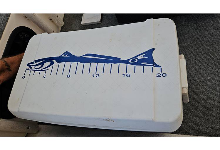 36 Inch Redfish Red Drum Ruler SVG File, Boat Ruler, Fishing Ruler ...