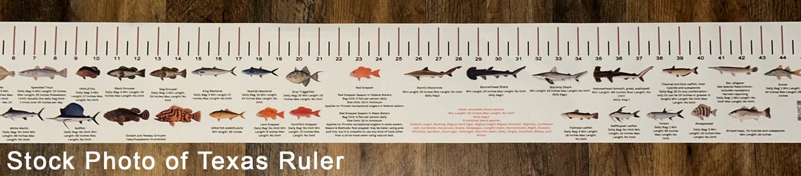 State Specific Saltwater Fish ID and Regulations Ruler Decals Tx La Ms ...