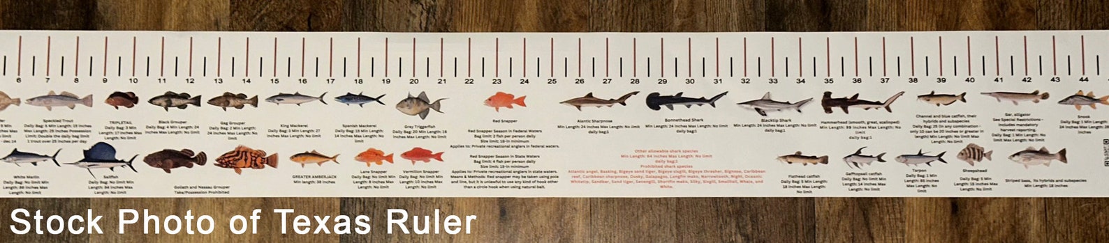 State Specific Saltwater Fish ID and Regulations Ruler Decals Tx La Ms ...