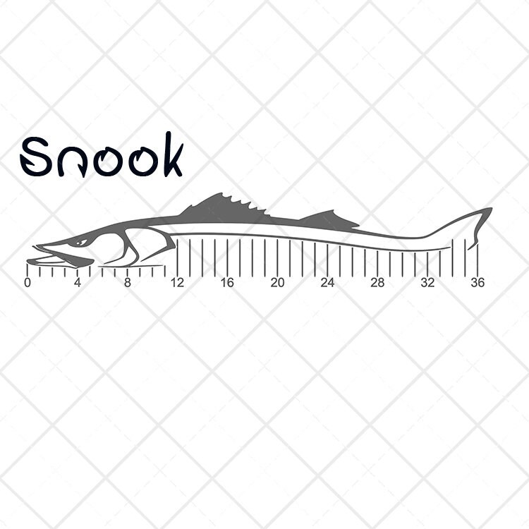 CUSTOM FISH RULERS for Your Boat Ice Chest Etc. Speckled - Etsy